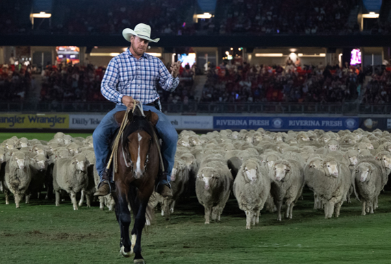 Sydney Royal Easter Show