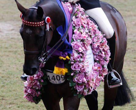 Sydney Royal Easter Show